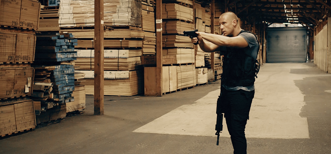 Magic Bullet Looks - softvn.vn